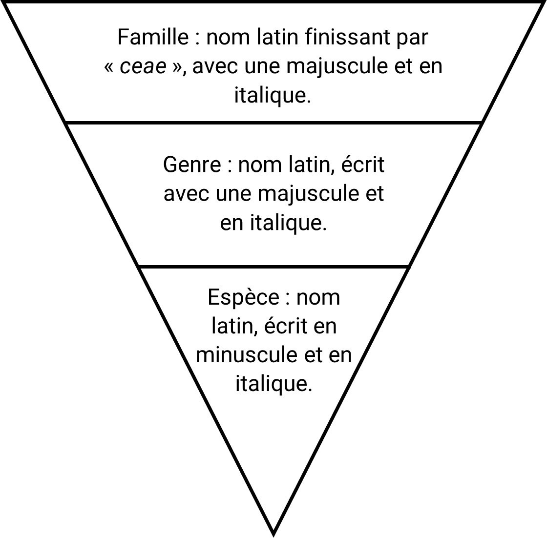 Blog Floramedia - D'où viennent les noms latins des végétaux