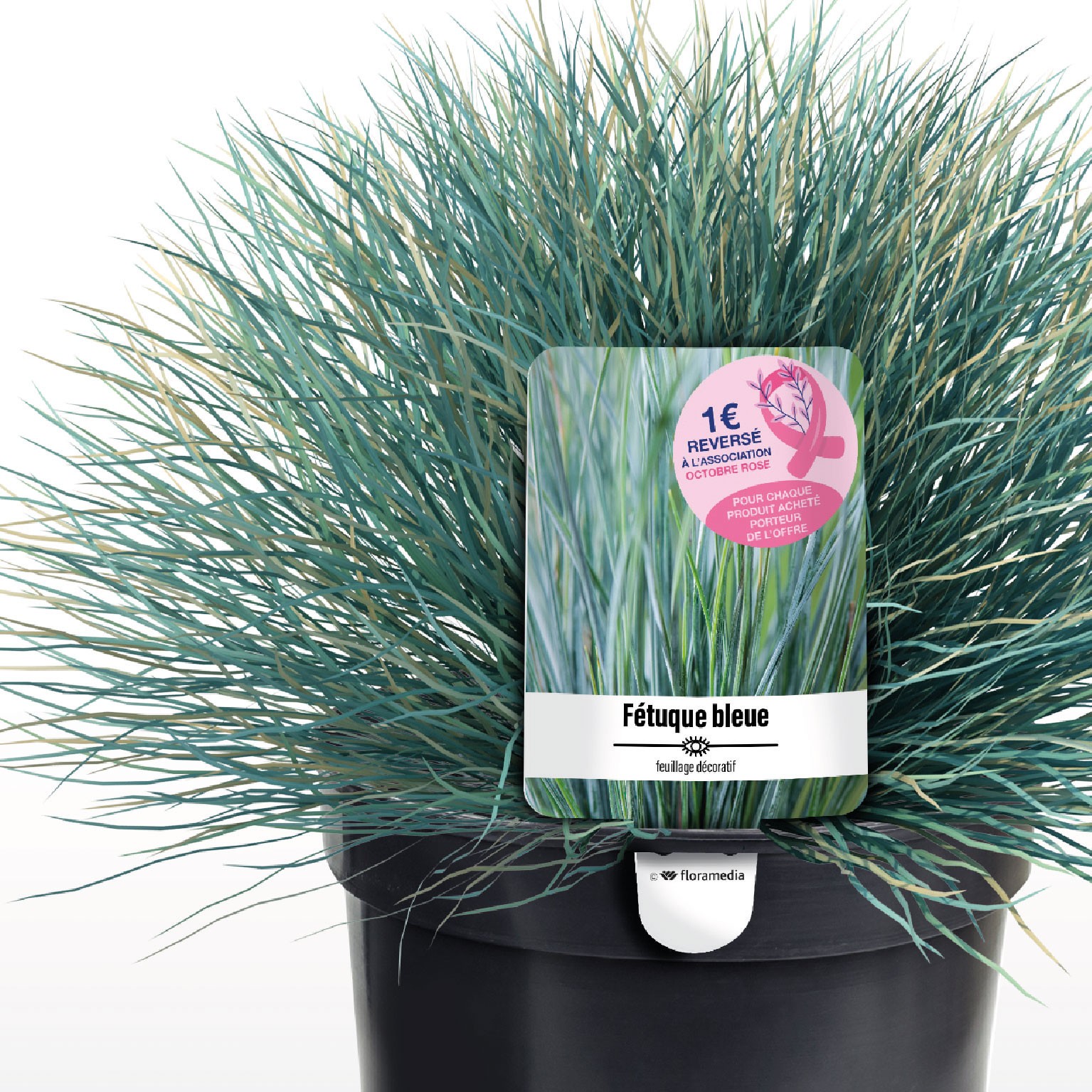 Blog Floramedia - Des étiquettes adhésives pour vos végétaux