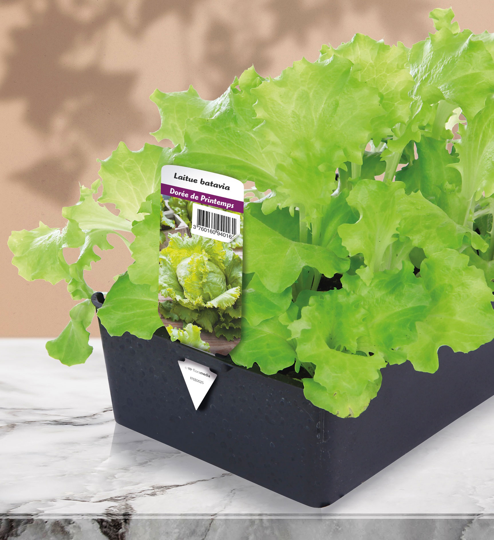 Blog Floramedia - Des étiquettes adhésives pour vos végétaux