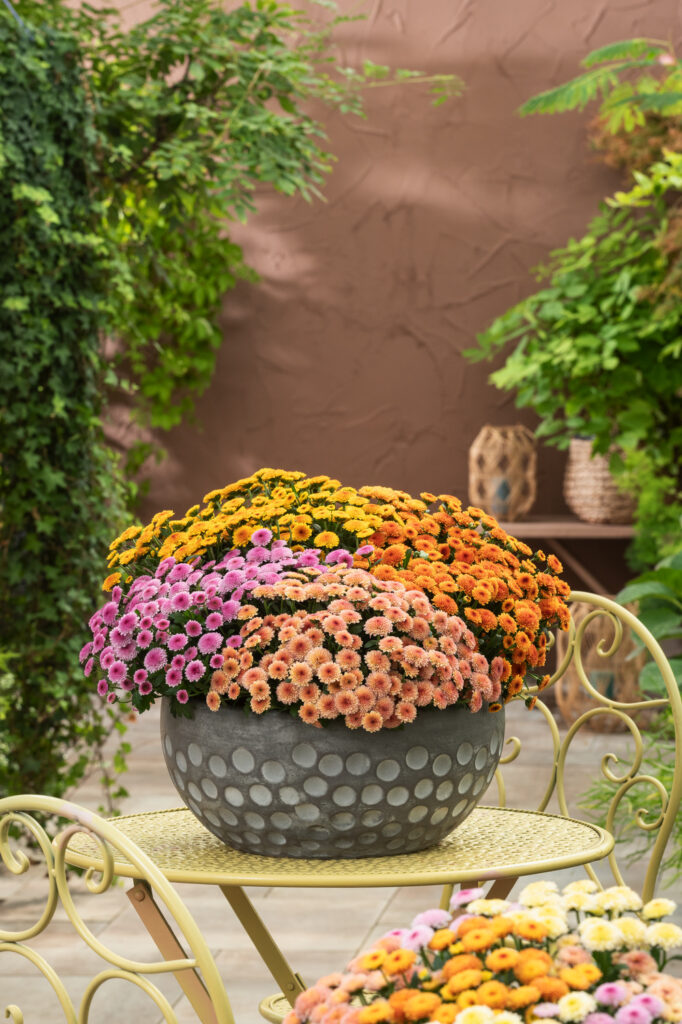 Tendances Jardin 2026 : entre nature libre et expériences choisies